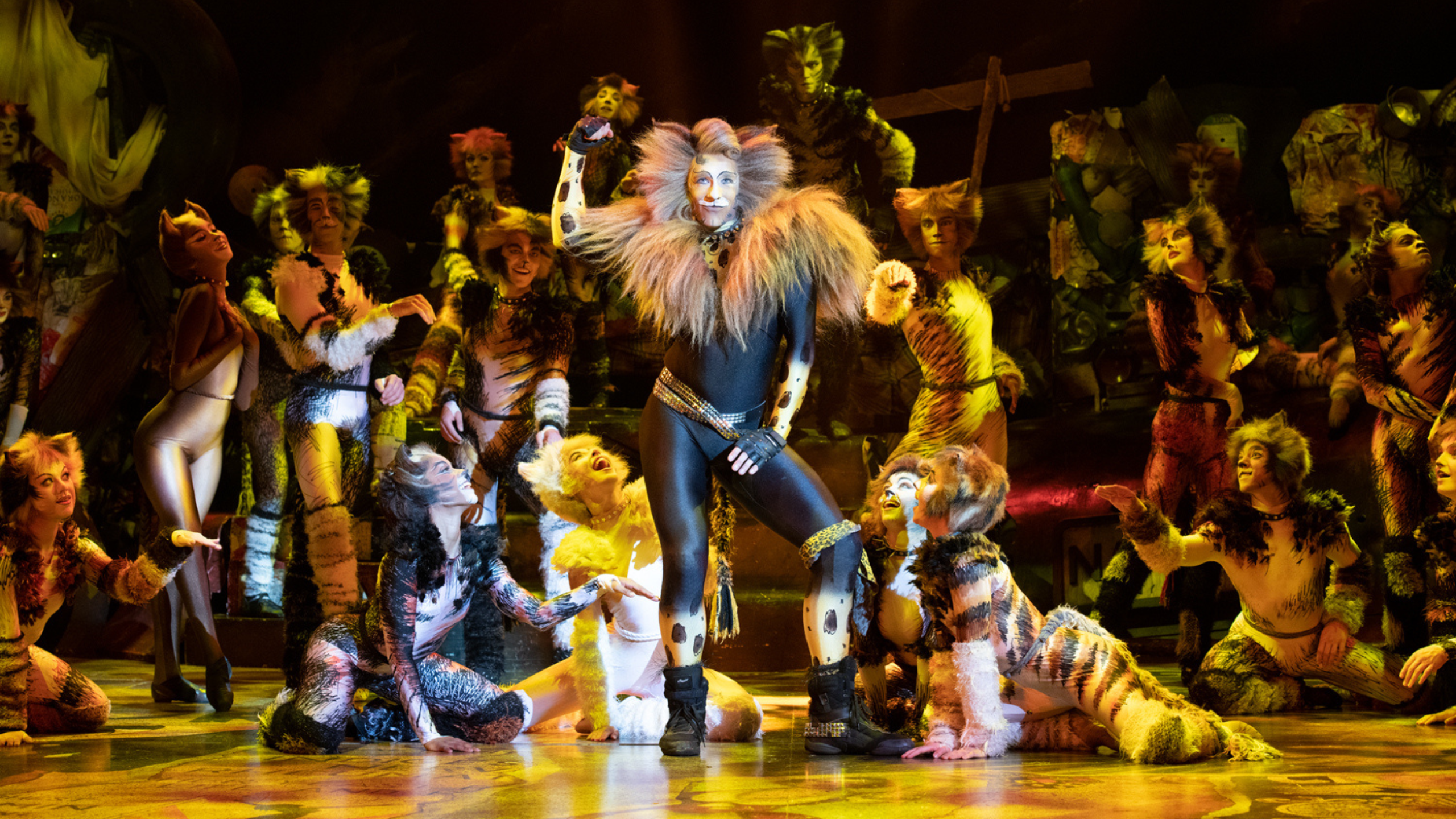 Theatre Royal Sydney - Cats